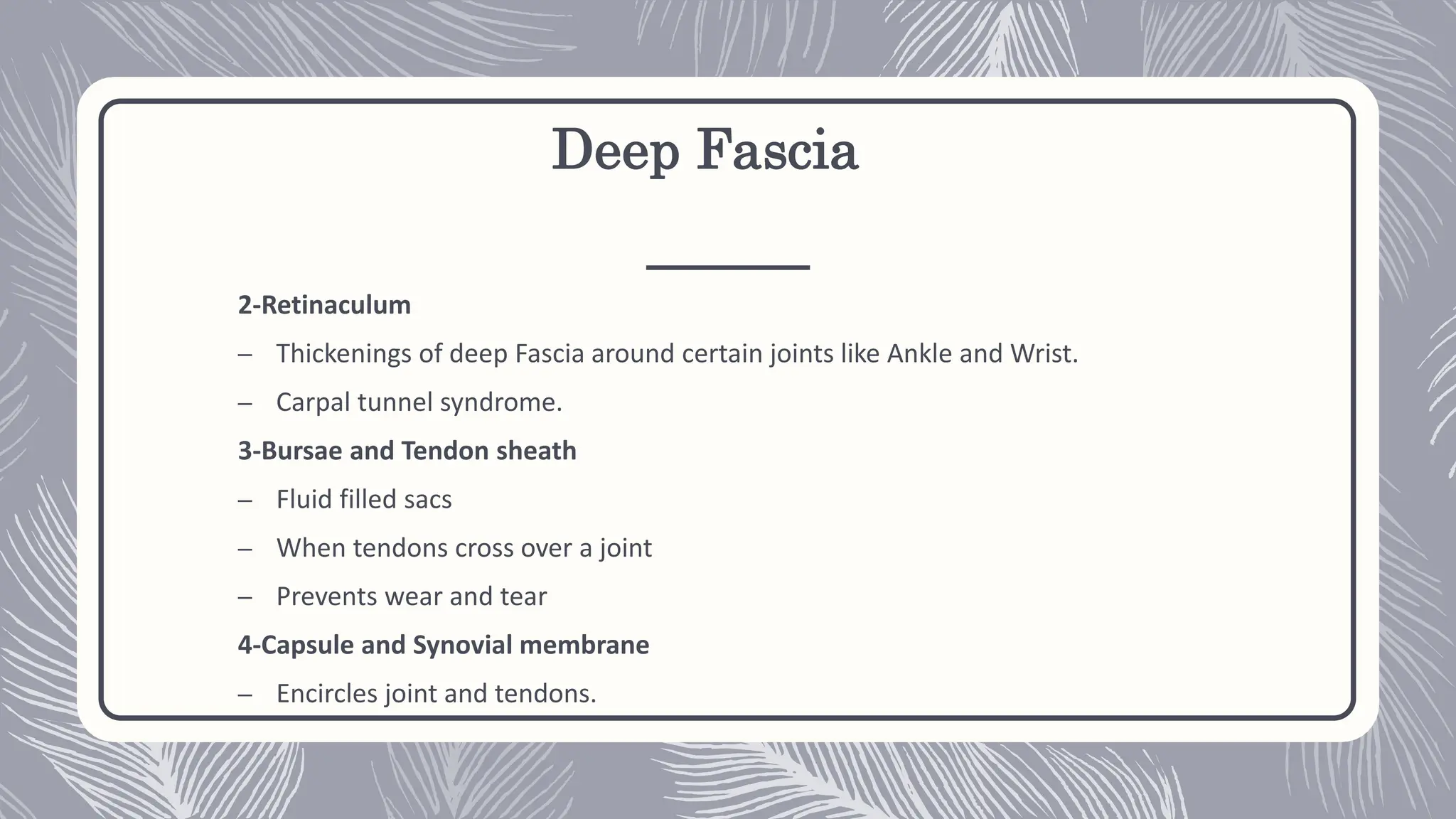 Layers and Appendages of Skin. Superficial and deep Fascia PPT.pptx