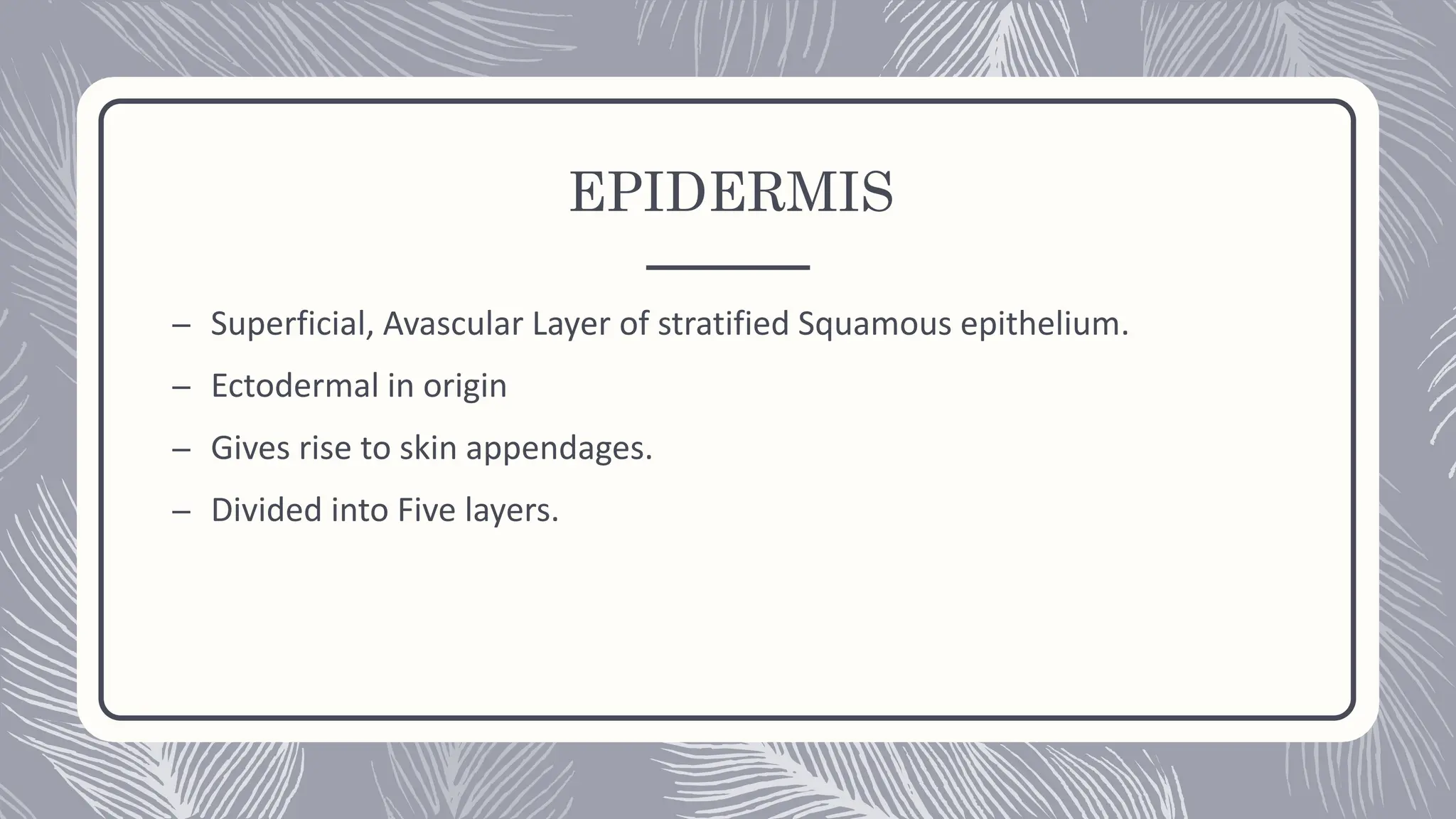Layers and Appendages of Skin. Superficial and deep Fascia PPT.pptx