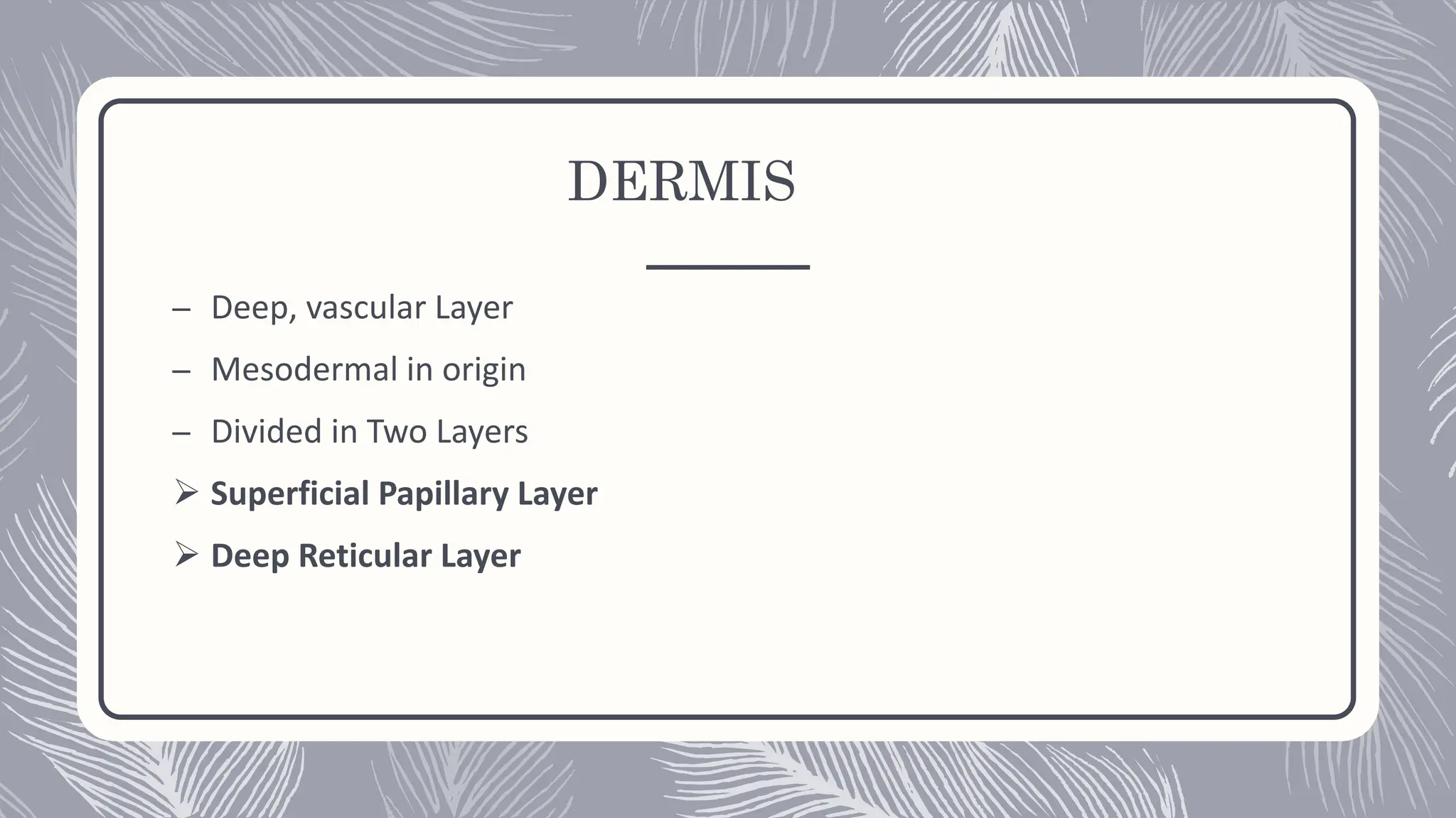 Layers and Appendages of Skin. Superficial and deep Fascia PPT.pptx