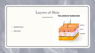 Layers and Appendages of Skin. Superficial and deep Fascia PPT.pptx
