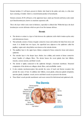 Skin and Hair | DOCX