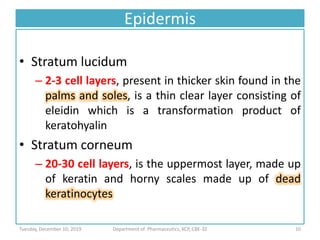 Skin and Hair | PPTX
