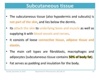 Skin and Hair | PPTX