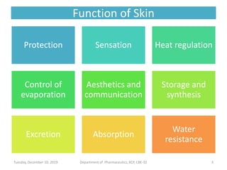 Skin and Hair | PPTX