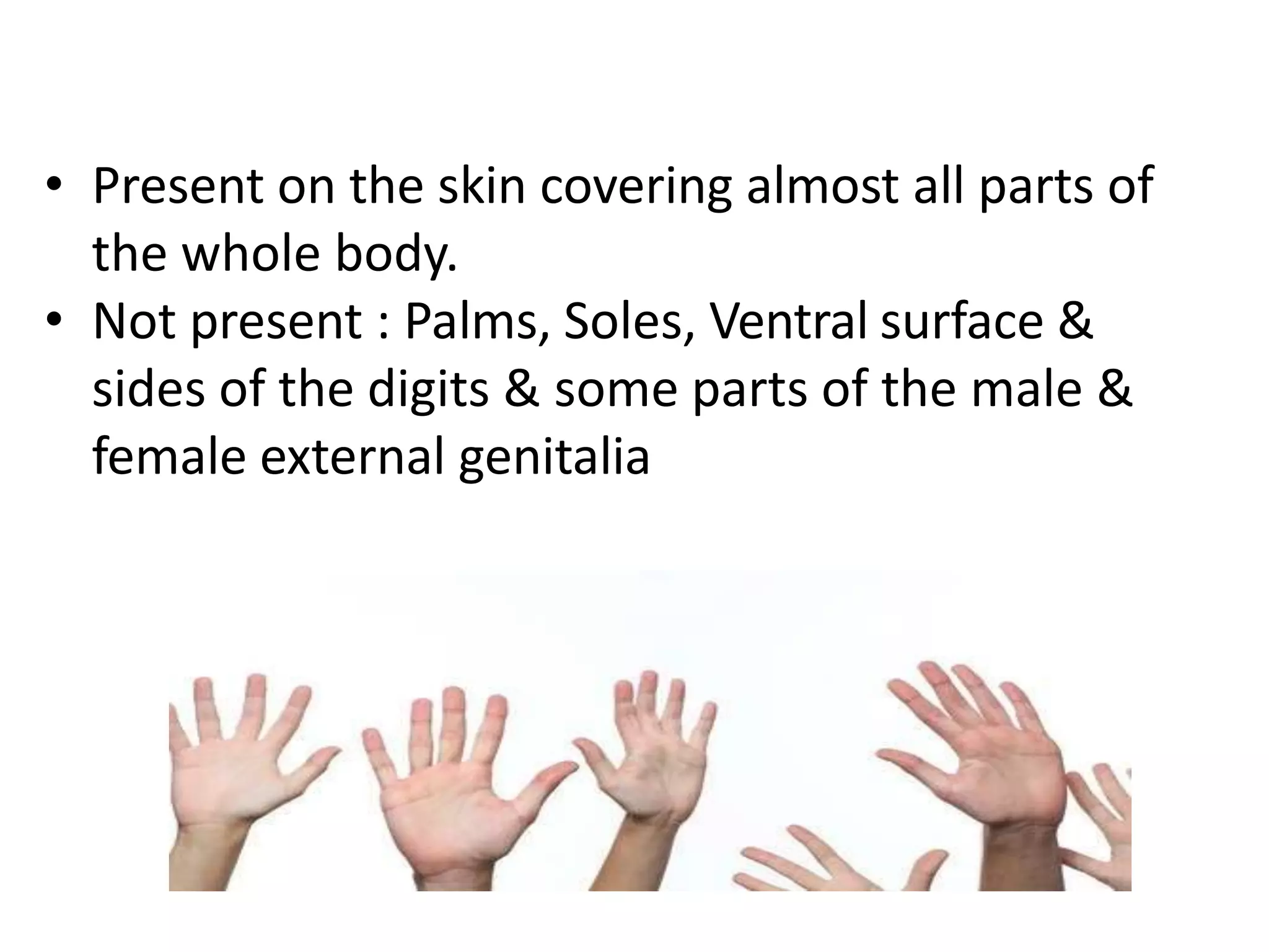 SKIN AND ITS APPENDAGES.pptx