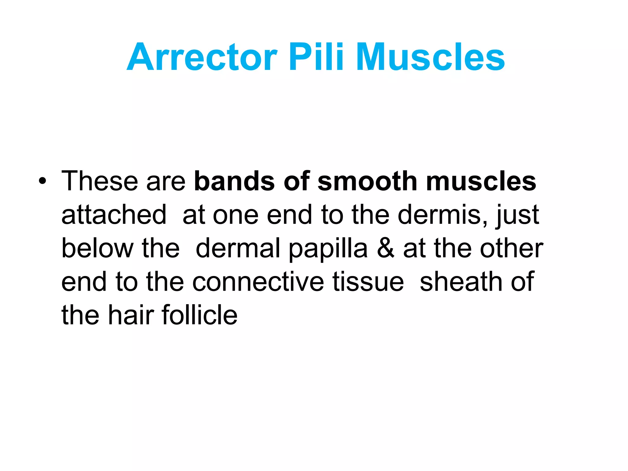 SKIN AND ITS APPENDAGES.pptx