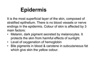 SKIN AND ITS APPENDAGES.pptx