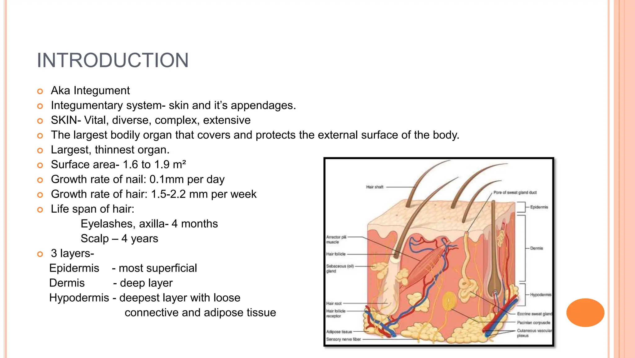 SKIN AND IT’S HISTOLOGY APPLIED dentistry.pptx