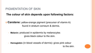 SKIN AND IT’S HISTOLOGY APPLIED dentistry.pptx