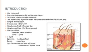 SKIN AND IT’S HISTOLOGY APPLIED dentistry.pptx