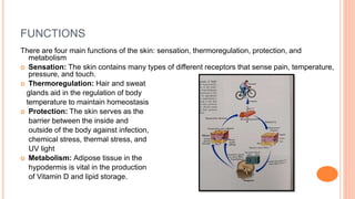 SKIN AND IT’S HISTOLOGY APPLIED dentistry.pptx