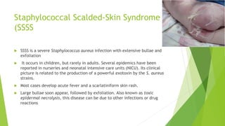 Explanation Skin and soft tissue infection | PPT