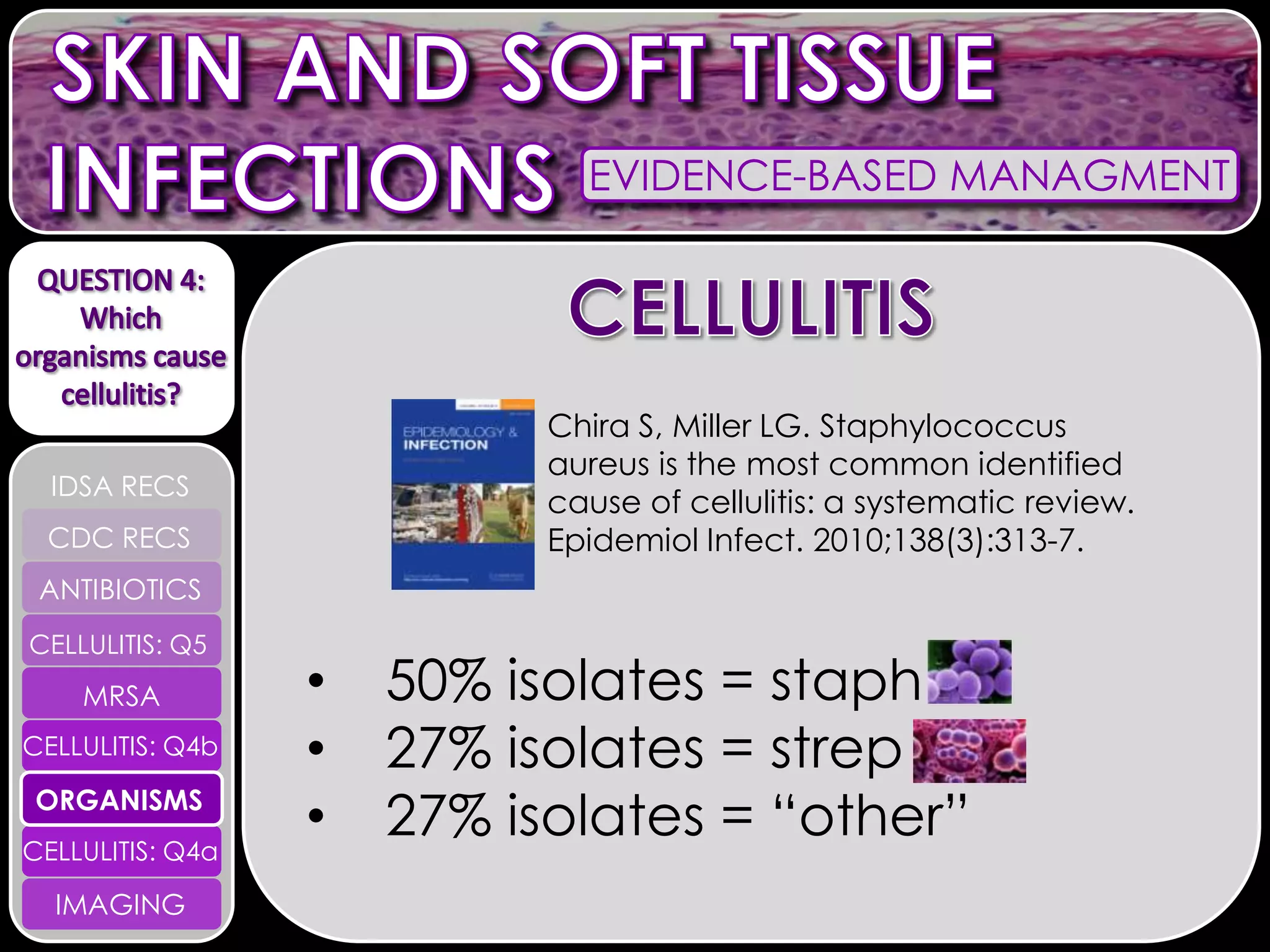 Skin and Soft Tissue Infections | PPTX