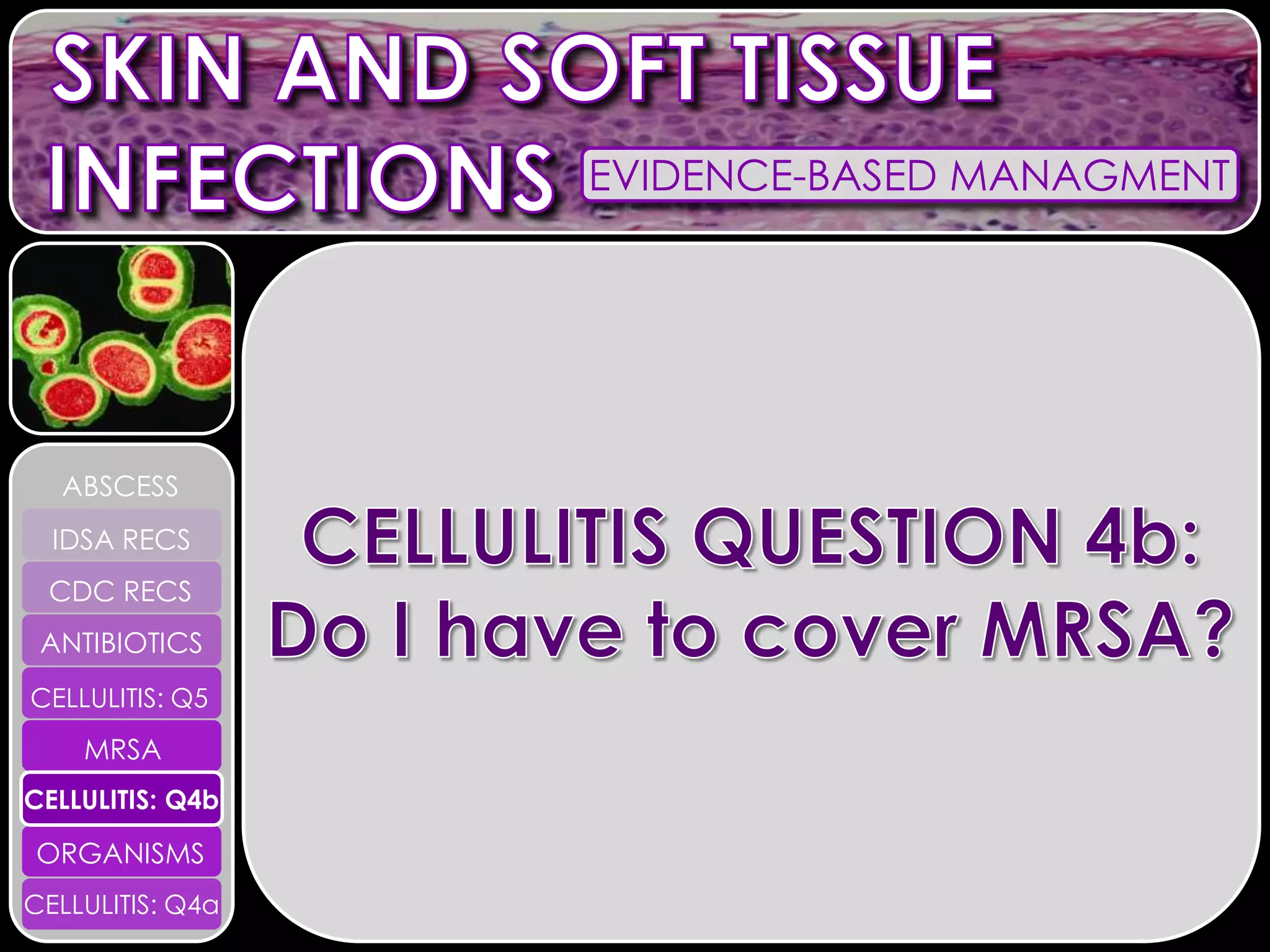 Skin and Soft Tissue Infections | PPTX