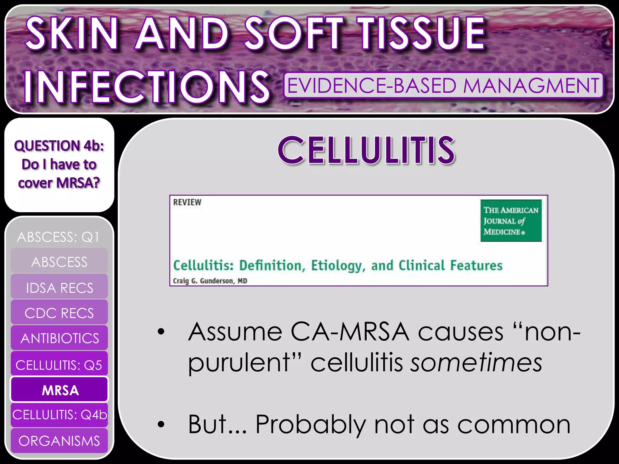 Skin and Soft Tissue Infections | PPTX