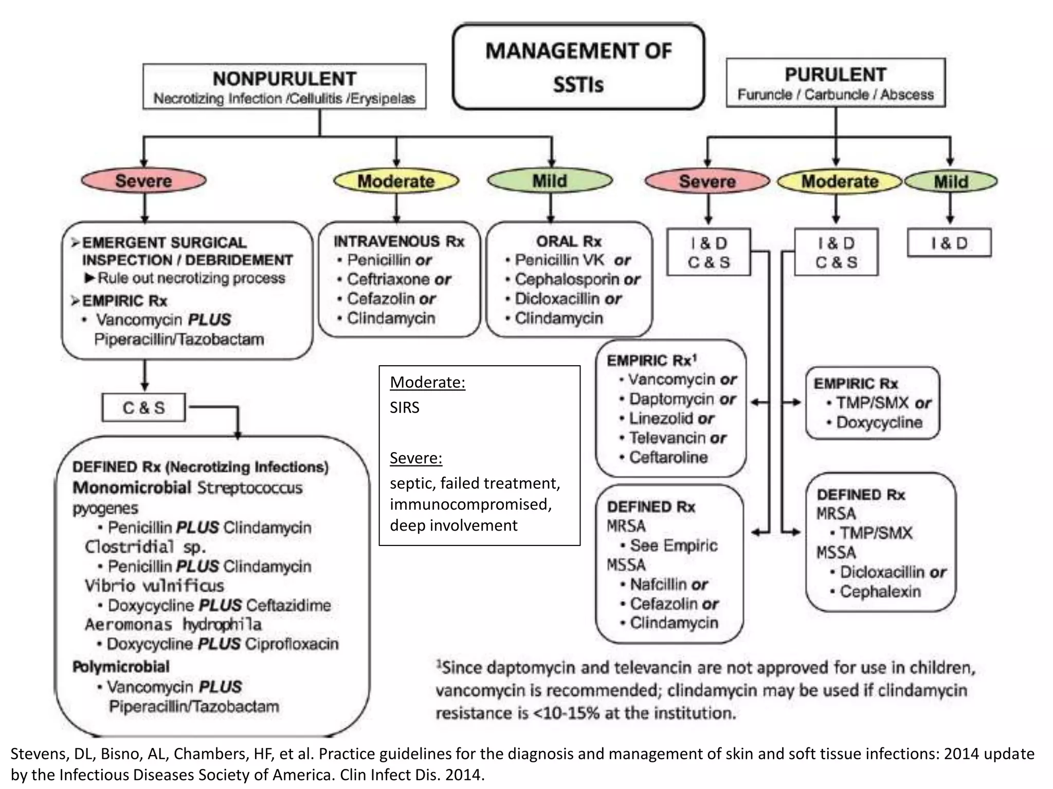 Skin and soft tissue infections | PPTX