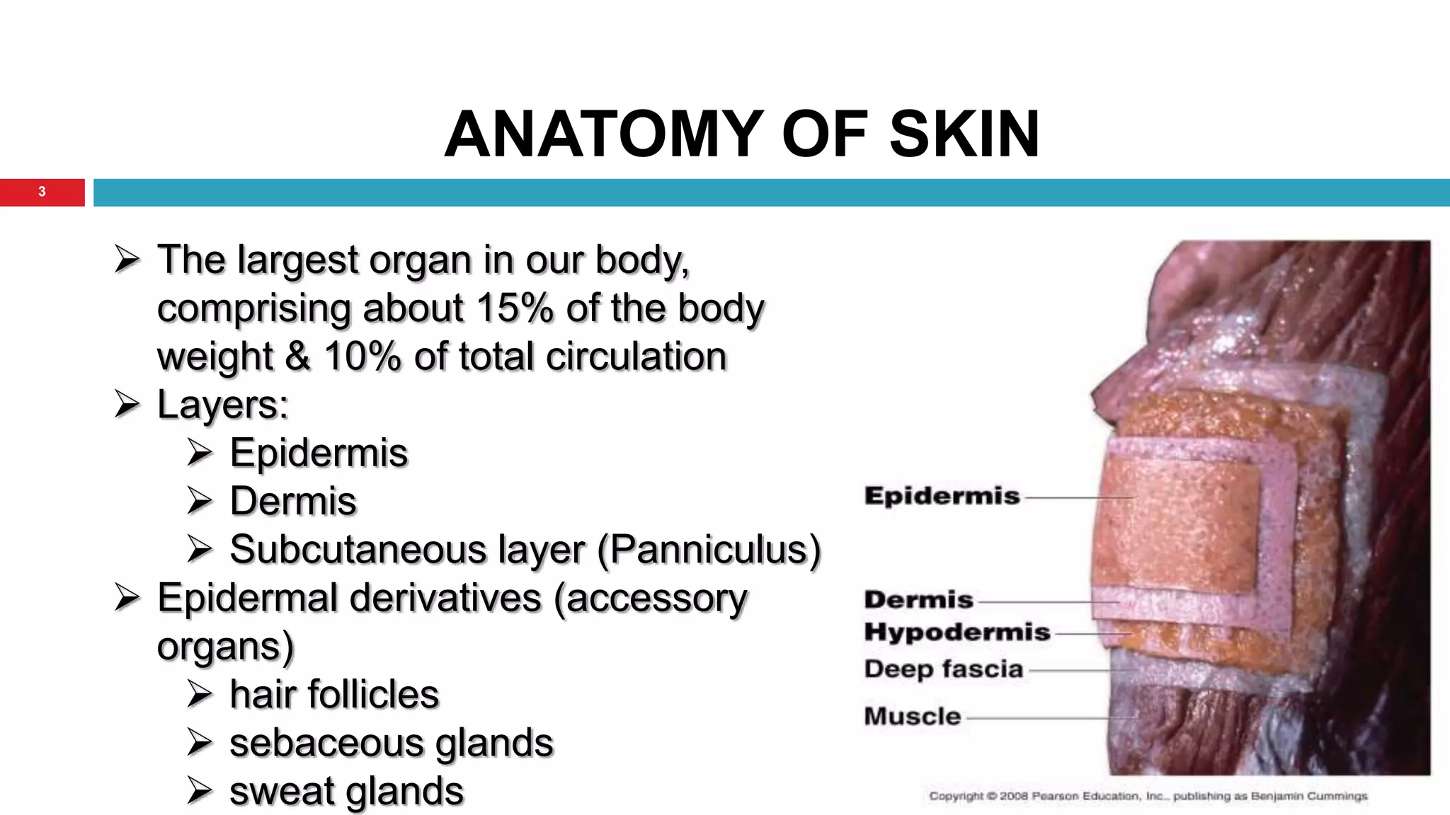 Skin and soft tissue infections | PPTX