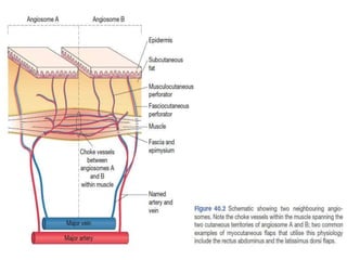 skin and subcutaneous swelling presentation | PPTX