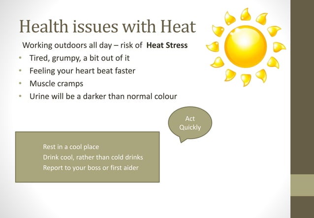 Skin at Work - Workers Guide | PPTX