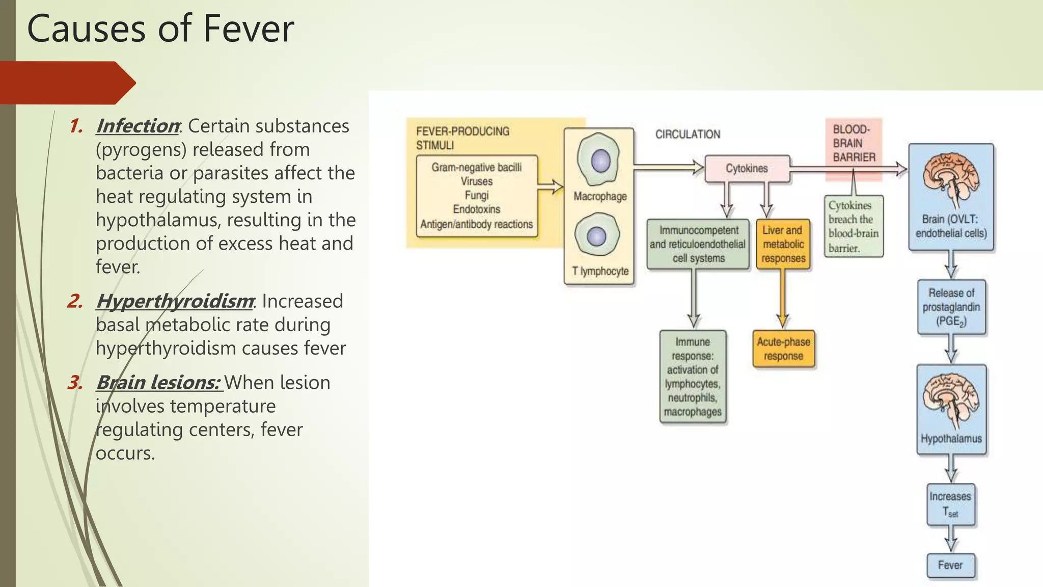 skin and temperature regulation.pptx