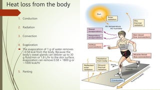 skin and temperature regulation.pptx
