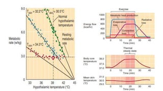 skin and temperature regulation.pptx