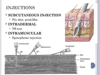 Skin, various diseases and problems on the skin and the Integumentary ...
