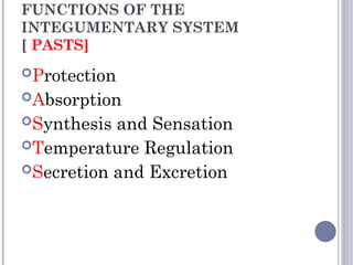 Skin, various diseases and problems on the skin and the Integumentary ...