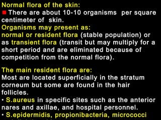 Skin and wound infection | PPT