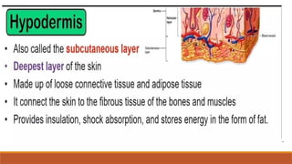 Physiology and chemistry of skin and pigmentation | PPTX