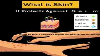 Physiology and chemistry of skin and pigmentation | PPTX