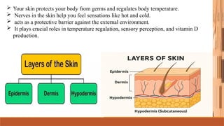 Physiology and chemistry of skin and pigmentation | PPTX