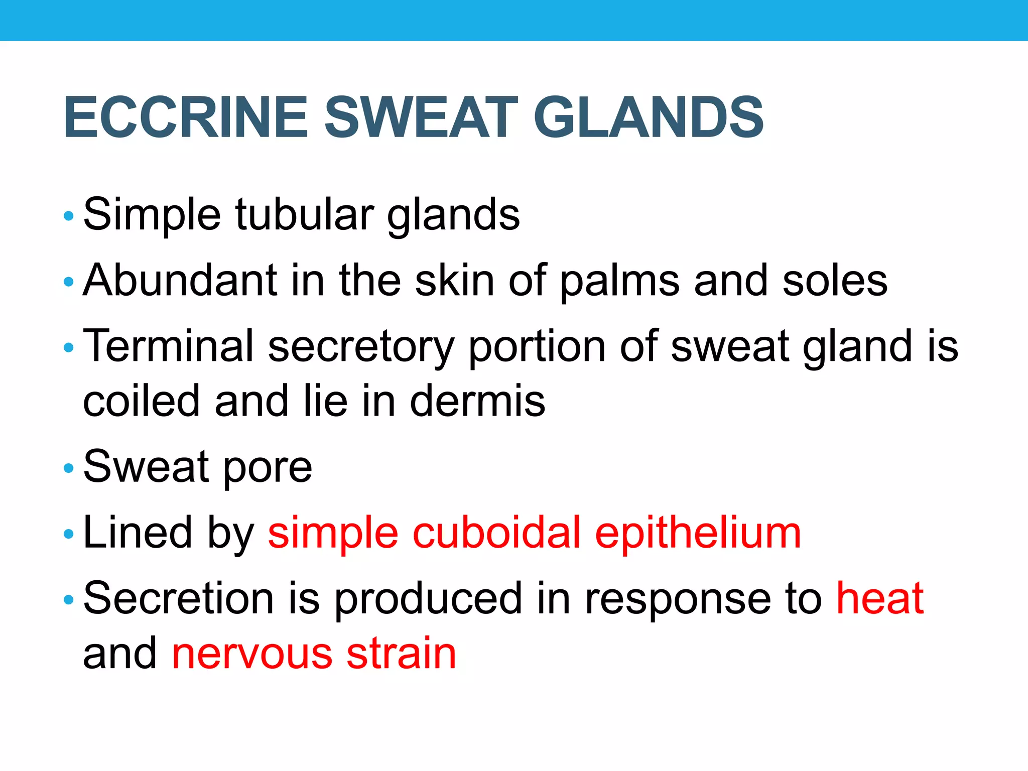 Skin appendages | PPTX