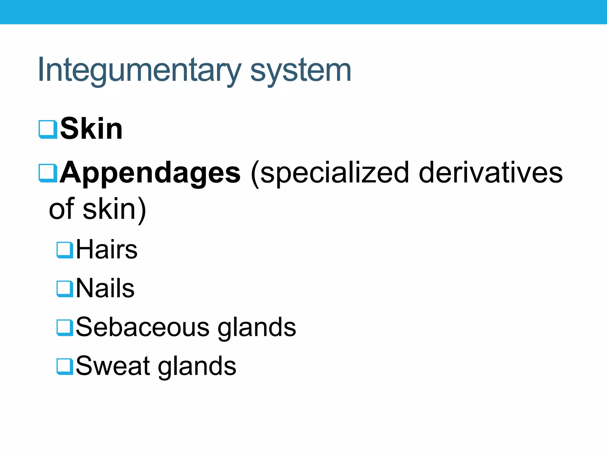 Skin appendages | PPTX