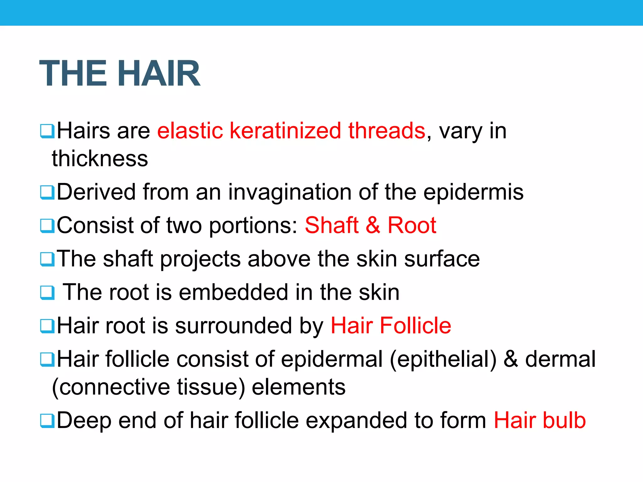 Skin appendages | PPTX