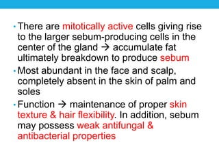 Skin appendages | PPTX