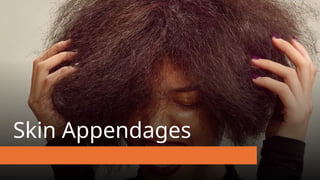 Comprehensive Overview of Skin Appendages: Hair, Nails, Sweat, and ...