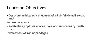Comprehensive Overview of Skin Appendages: Hair, Nails, Sweat, and ...