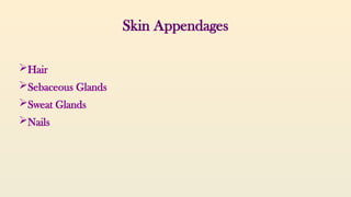 Skin_appendages_and_applied anatomy.pptx