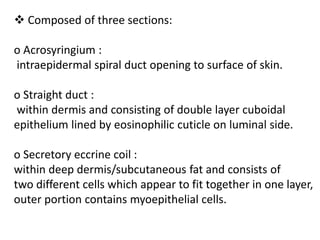 Skin as a Thermoregulatory Organ | PPTX