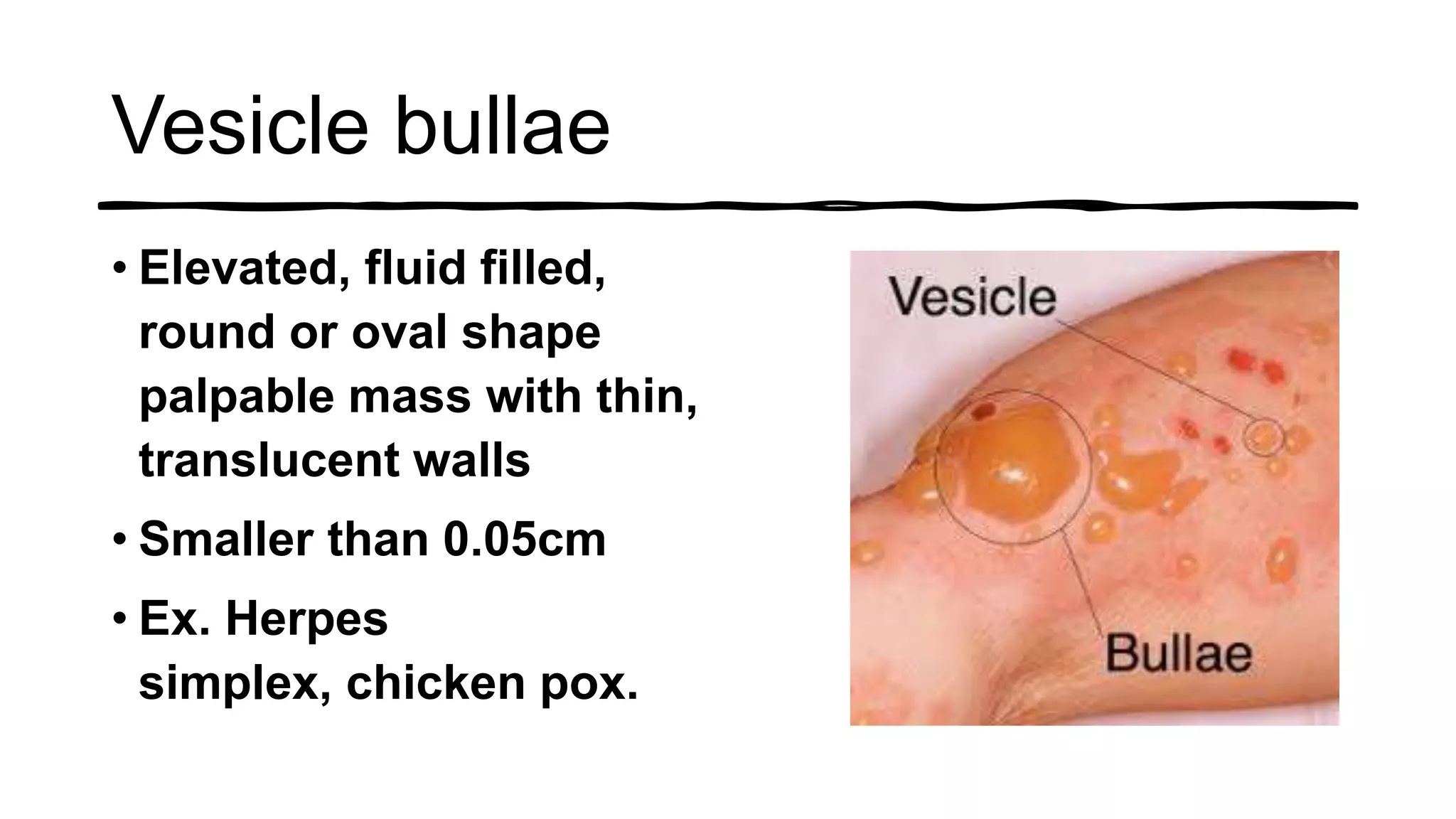 Skin assessment (1) | PPTX