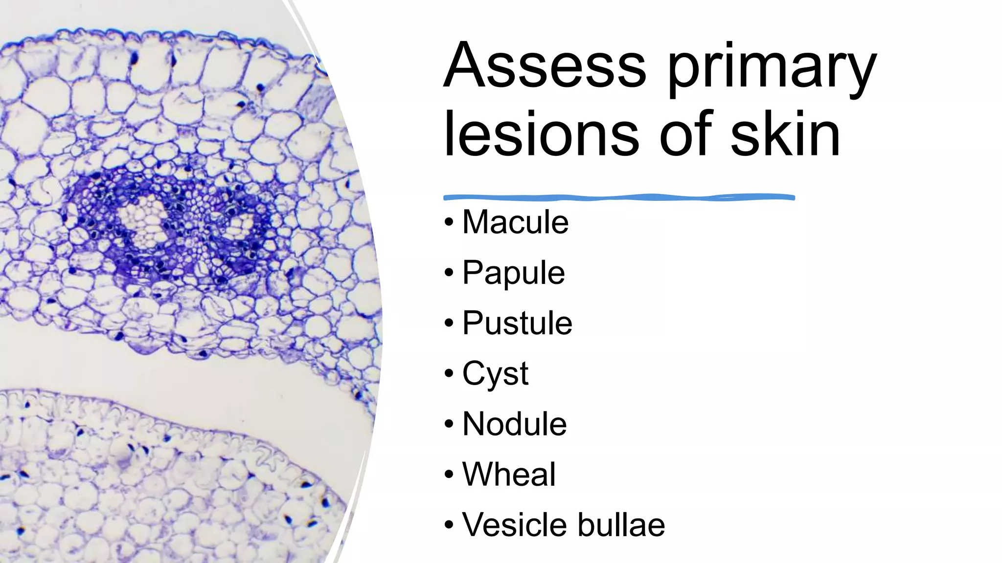 Skin assessment (1) | PPTX