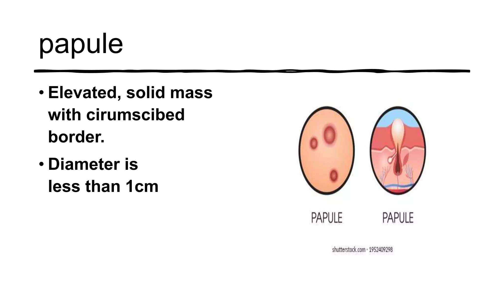 Skin assessment (1) | PPTX