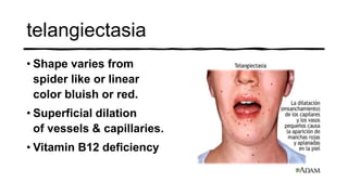 Skin assessment (1) | PPTX