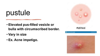 Skin assessment (1) | PPTX
