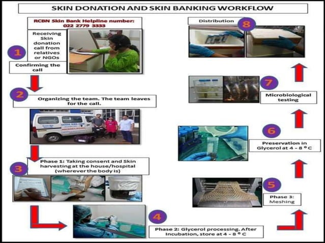 Skin Banking.pptx