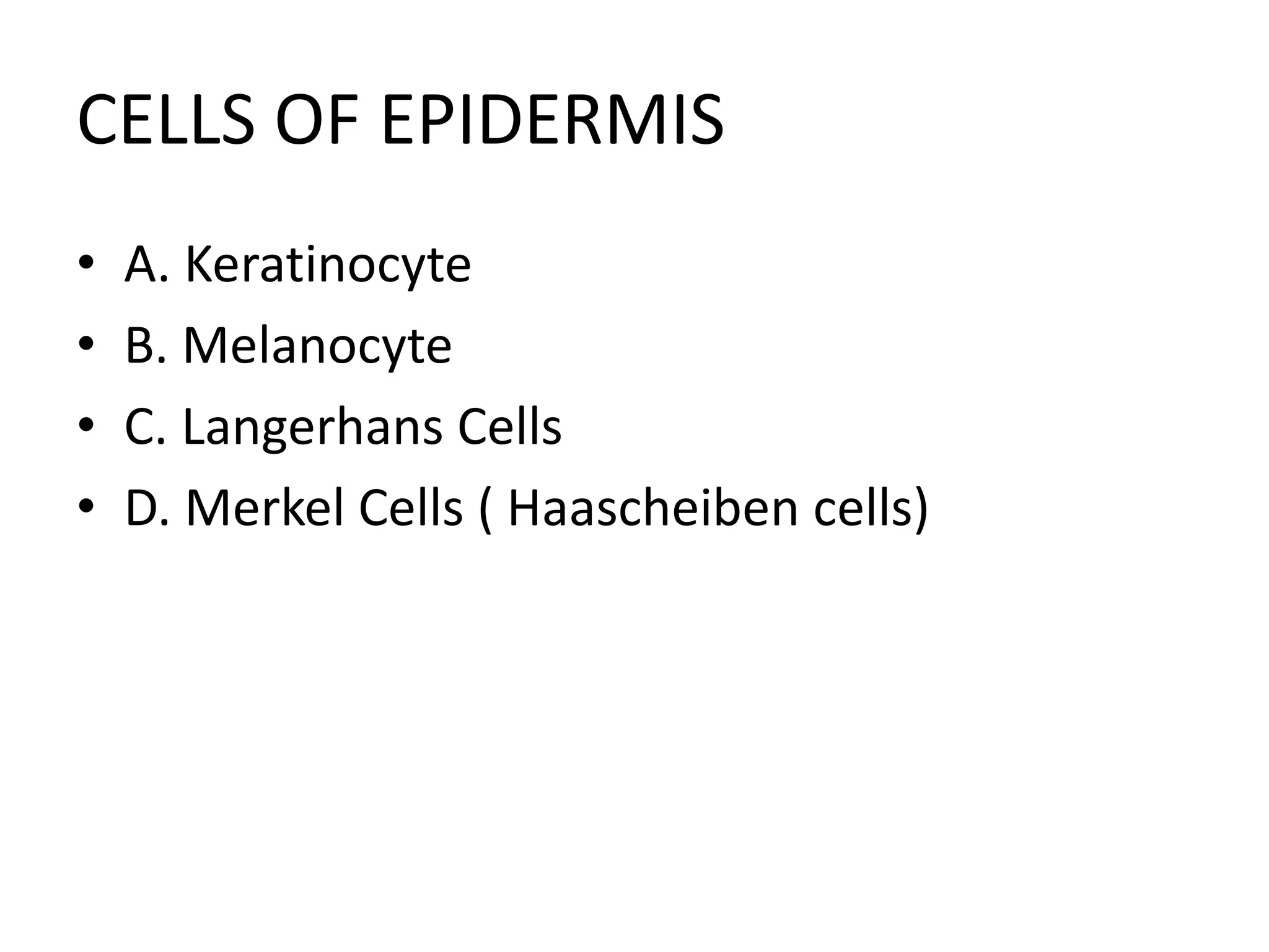 Skin basic structure | PPTX