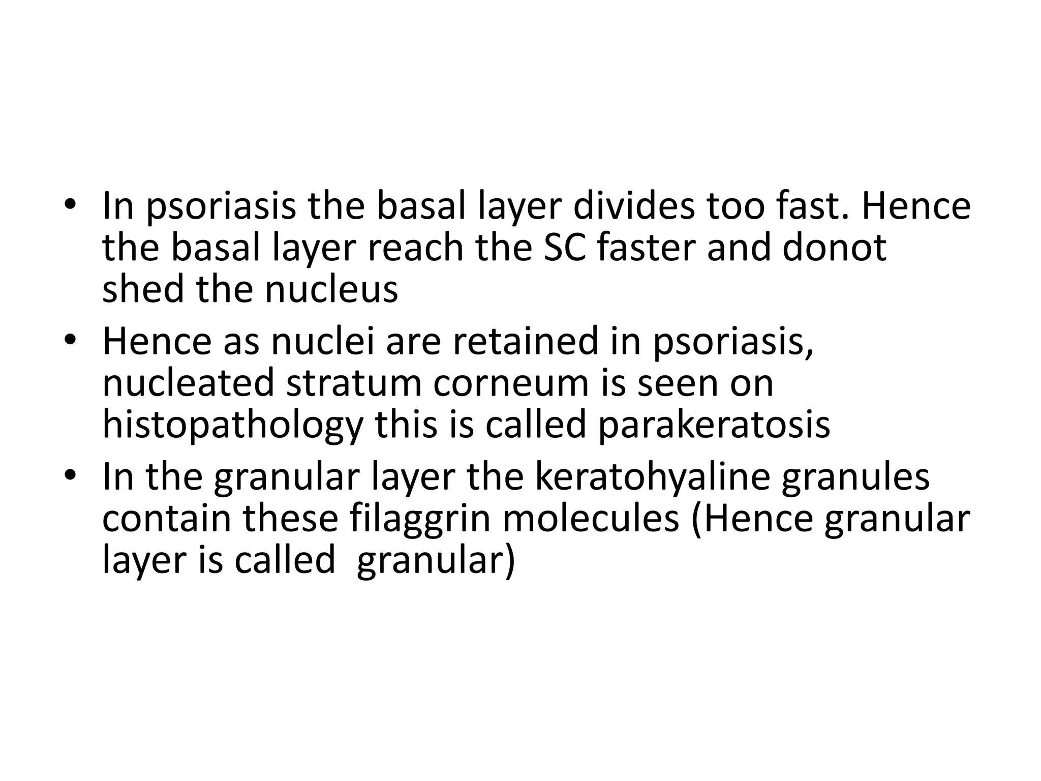 Skin basic structure | PPTX