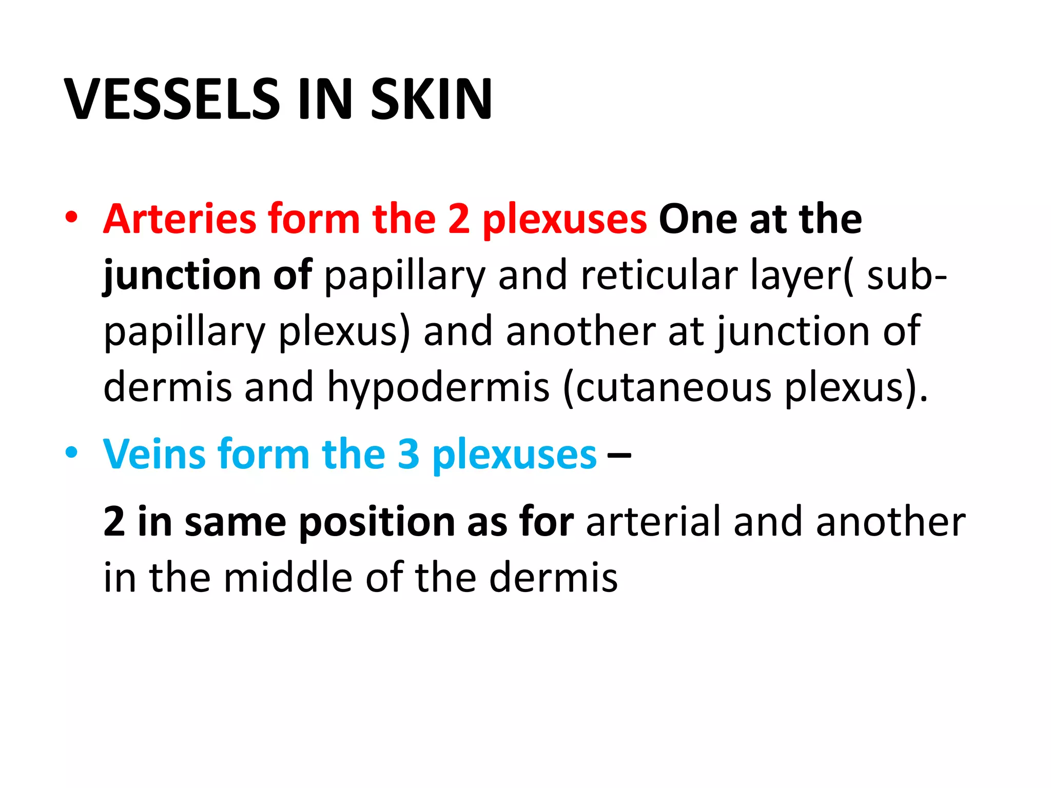 Skin basic structure | PPTX