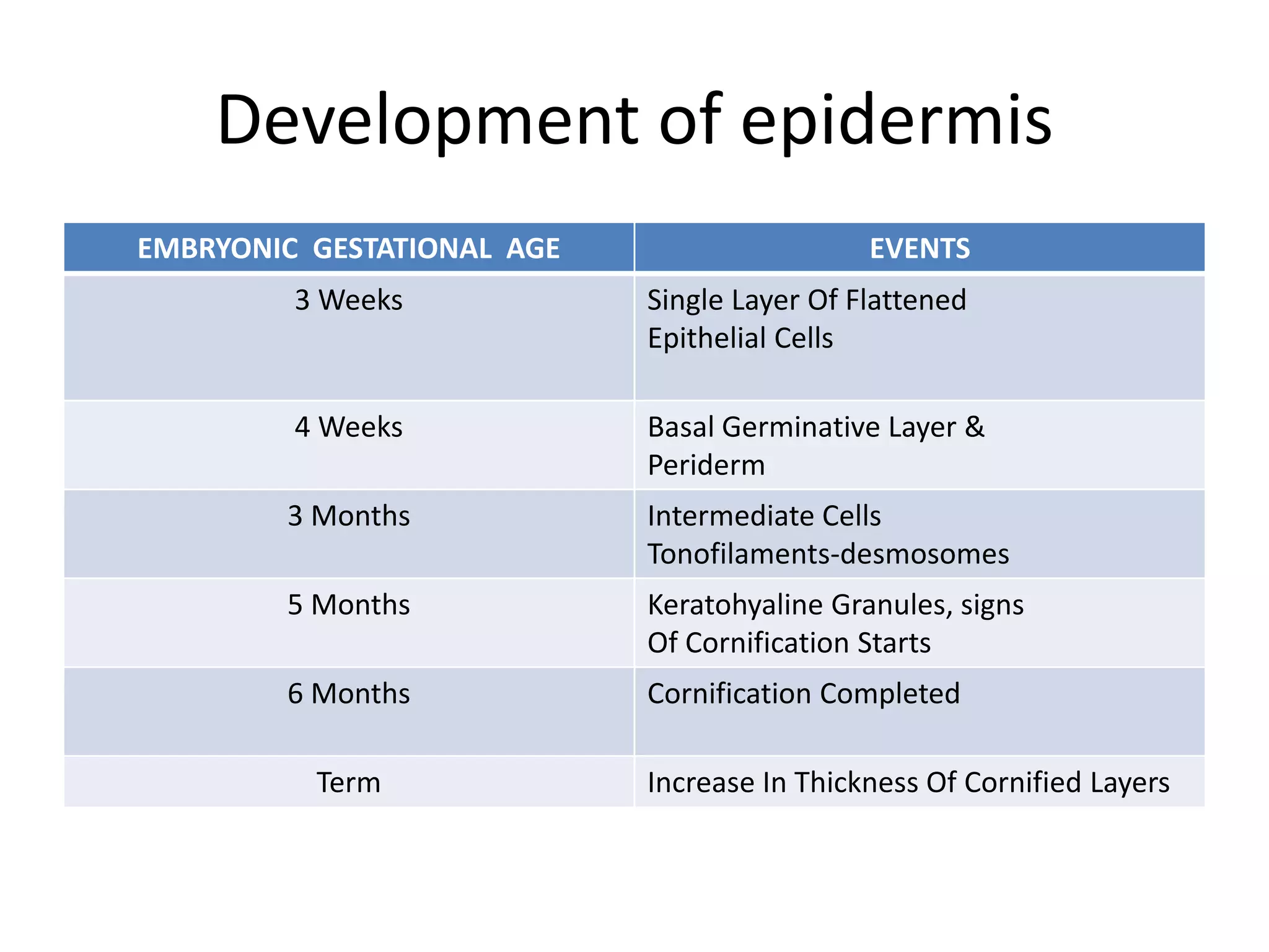 Skin basic structure | PPTX